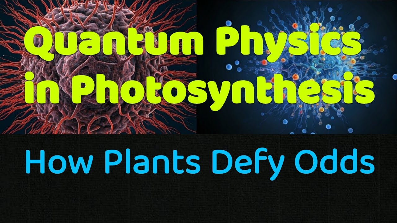 Quantum Physics in Photosynthesis: How Plants Defy Odds - YouTube