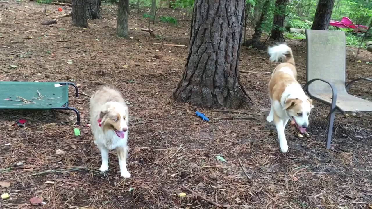 August 28, 2016 - Sunday, play day!!! - YouTube