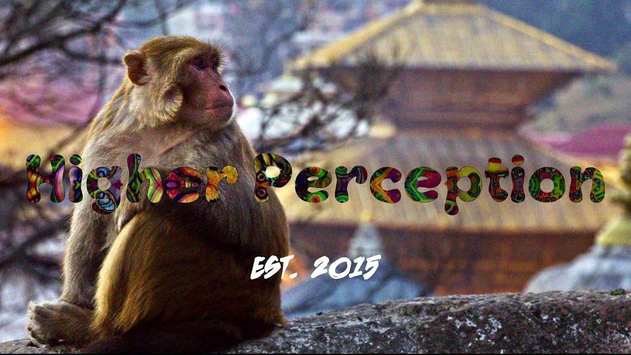 Spyro: Enter The Dragonfly - Monkey Monastery - YouTube