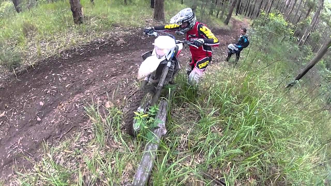 Bulahdelah Myall River State Forest - YouTube