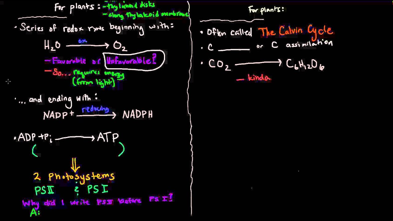 Photosynthesis (Part 1 of 3) - Introduction - YouTube
