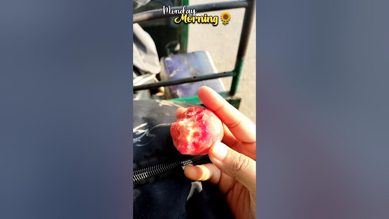 Somwaar ki shuruaat taaze taaze gazar ke sath 🥕 #minivlogs #dailyvlogs || sundaywithsuman ...