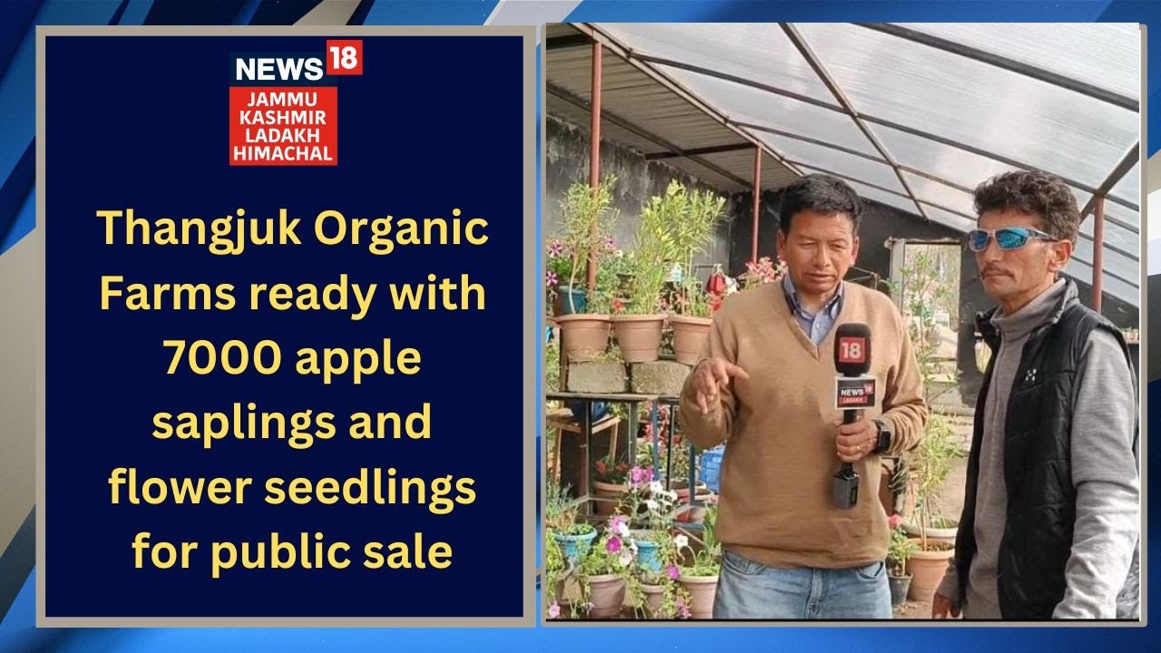 Thangjuk Organic Farms ready with 7000 apple saplings and flower ...