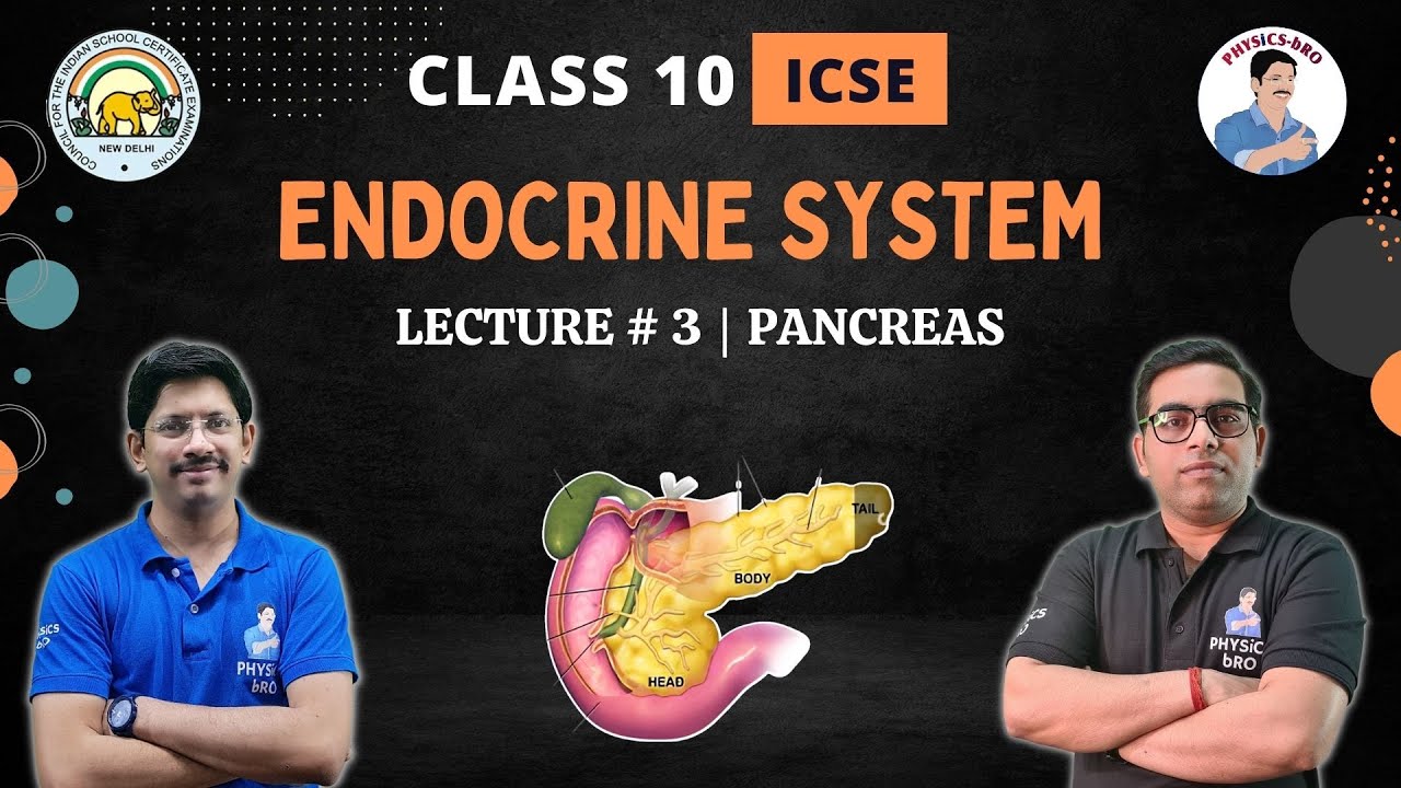 CLASS 10 ICSE | ENDOCRINE SYSTEM | LECTURE # 3 | PANCREAS | BY SRIRAM ...