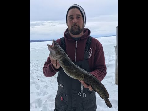 How to build a Cusk(Burbot) Trap for Ice Fishing - YouTube