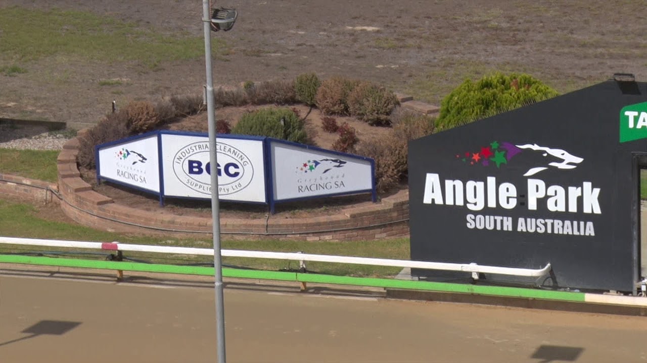 Angle-Park-03042020-Race-2 - YouTube