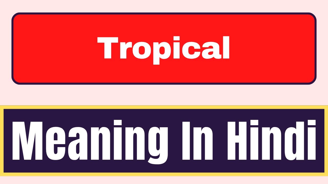 Tropical meaning in hindi | What is Tropical meaning in hindi | English ...