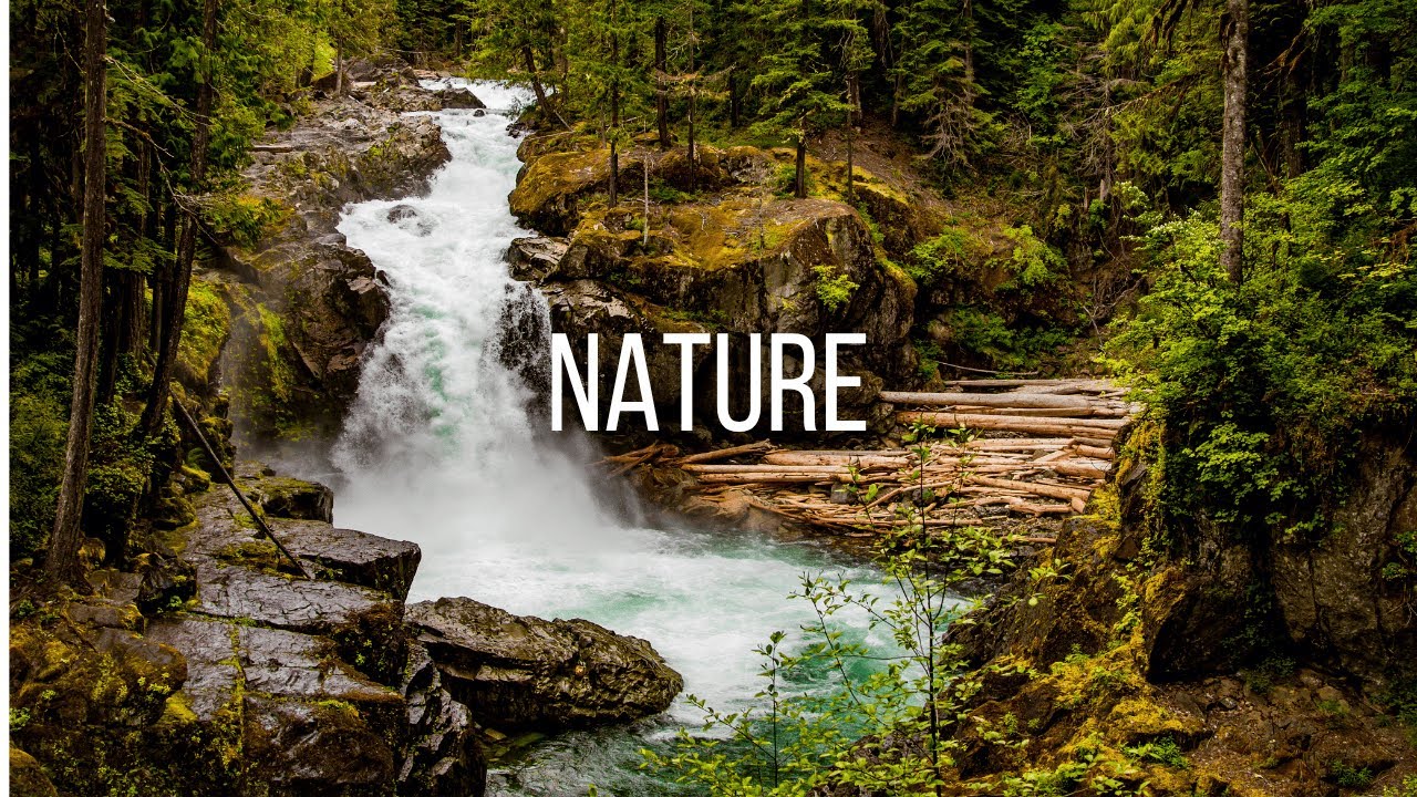 Nature Scenery 🌿 with Piano Healing Music 🎹 | 1 Hour of Relaxing ...