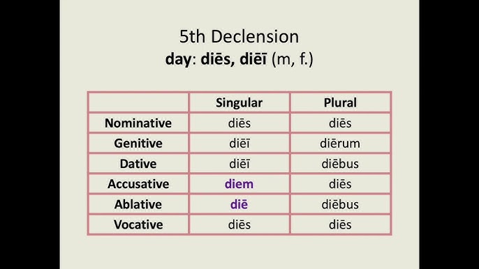 Latin Possessive Adjectives