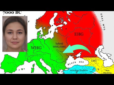 DNA of Neolithic Ukrainian reveals early Caucasus admixture in Europe ...