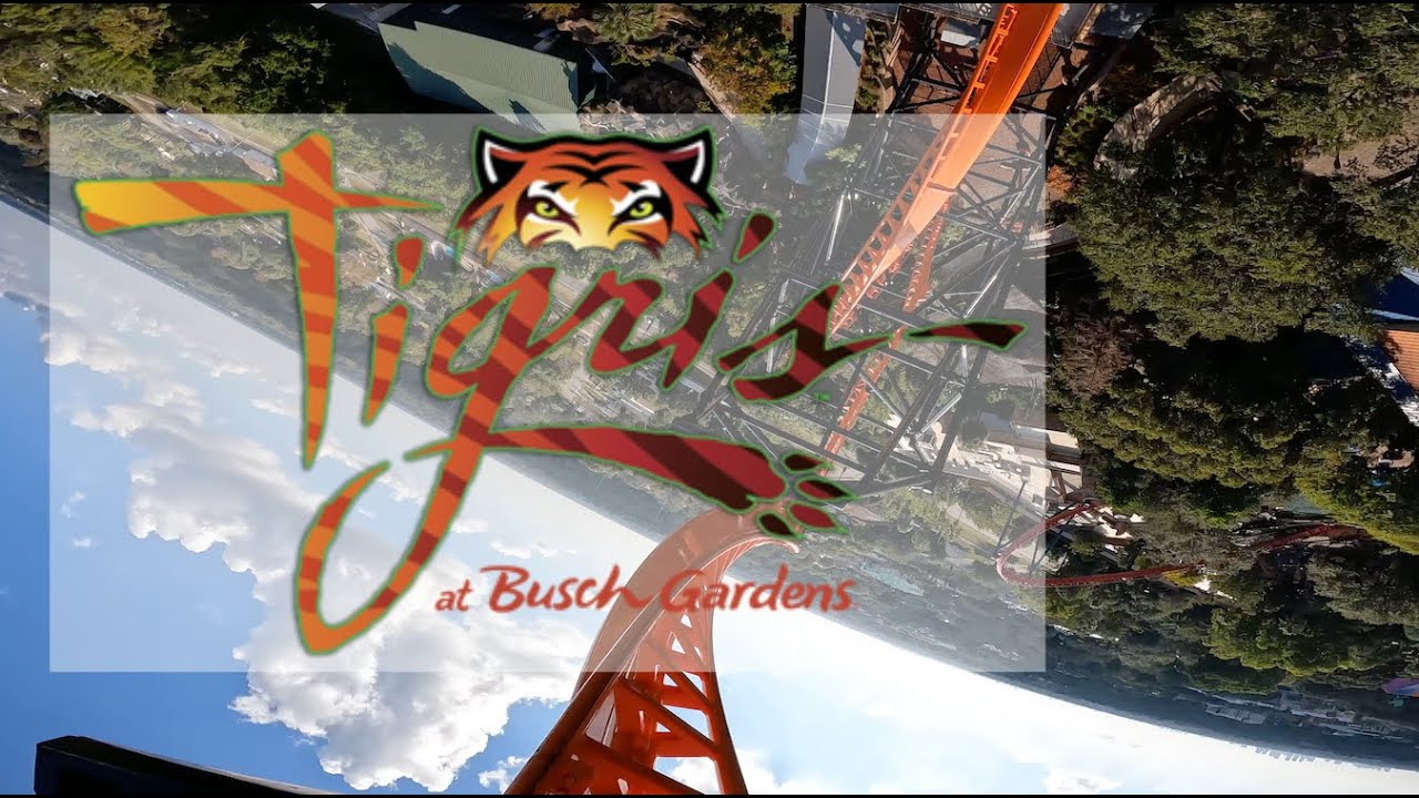 Tigris Ride POV 4K Roller Coaster Experience @ Bush Gardens - Tampa Bay ...