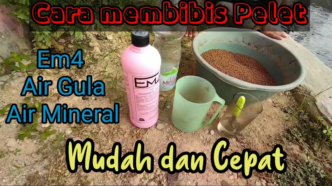 Cara Membibis pakan lele dengan EM4 - YouTube