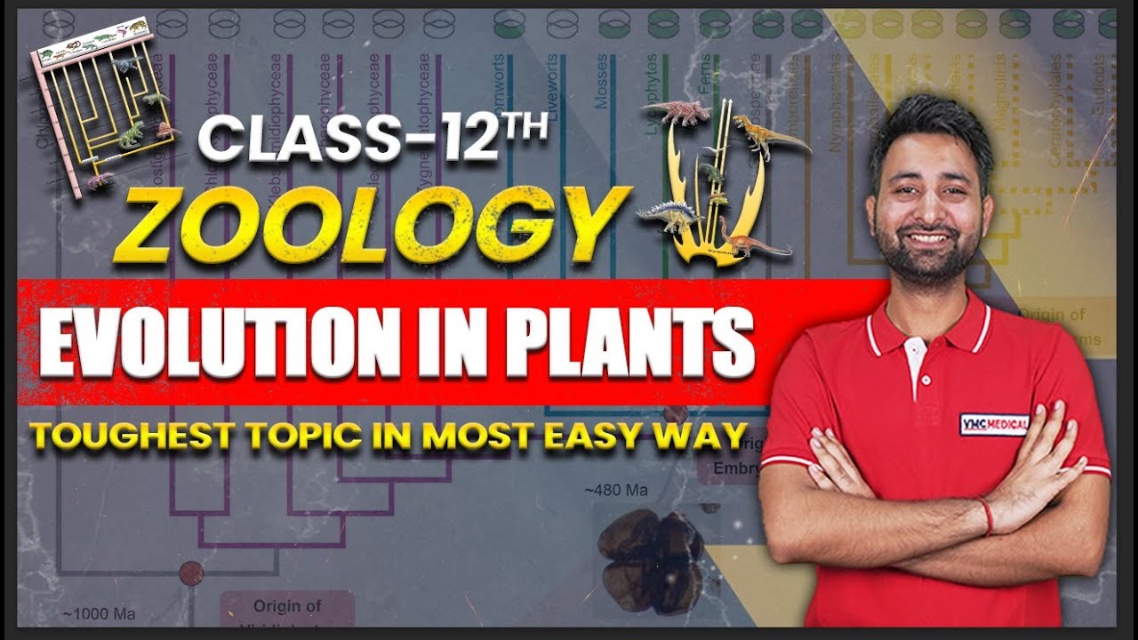 EVOLUTION IN PLANTS | SUPER EASY WAY TO LEARN | CLASS 12TH BIOLOGY # ...