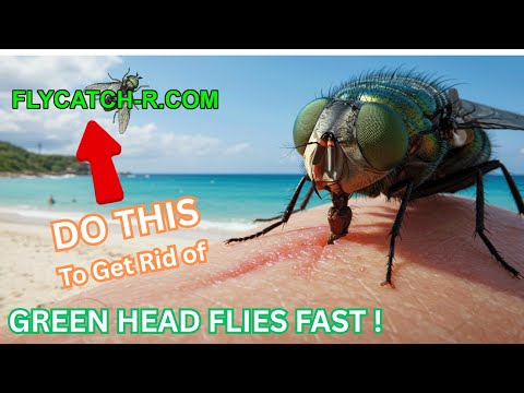 How To Repel Biting Greenhead Flies
