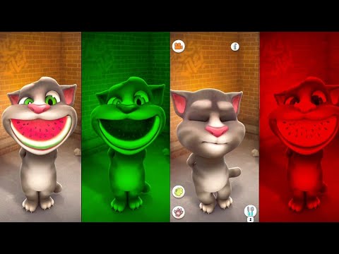 Talking Tom Effect | Tom The Talking Cat funny video | Talking Tom ...
