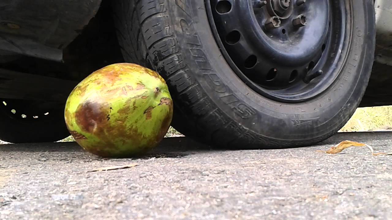 car x coconut - YouTube