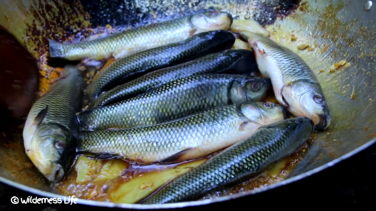 FISH - Yummy Cooking Fish Stew Recipe on River For Dinner Eating ...