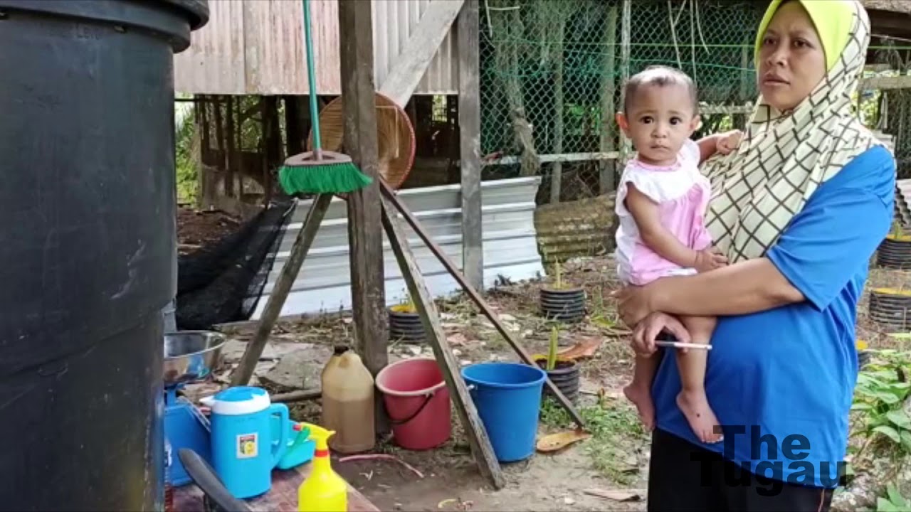 Cili bara Kg Jerijeh - YouTube