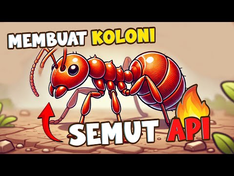 Gue Membangun KOLONI SEMUT API Dari 0 Sampai 100 Ekor Di Empires Of The Undergrowth