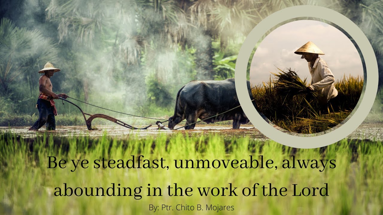 Be ye steadfast, unmovable, always abounding in the work of the Lord ...