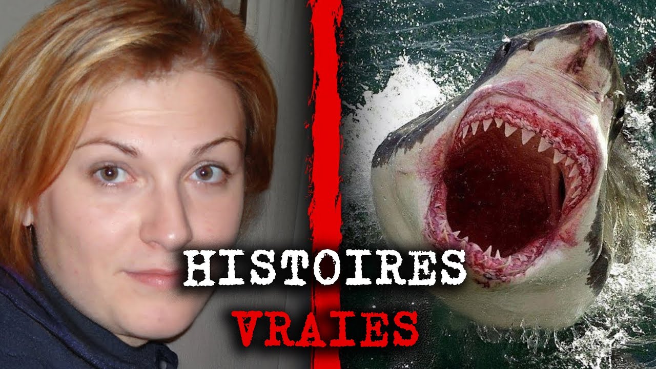 5 Attaques de Requins Les Plus BRUTALES de L'année - YouTube