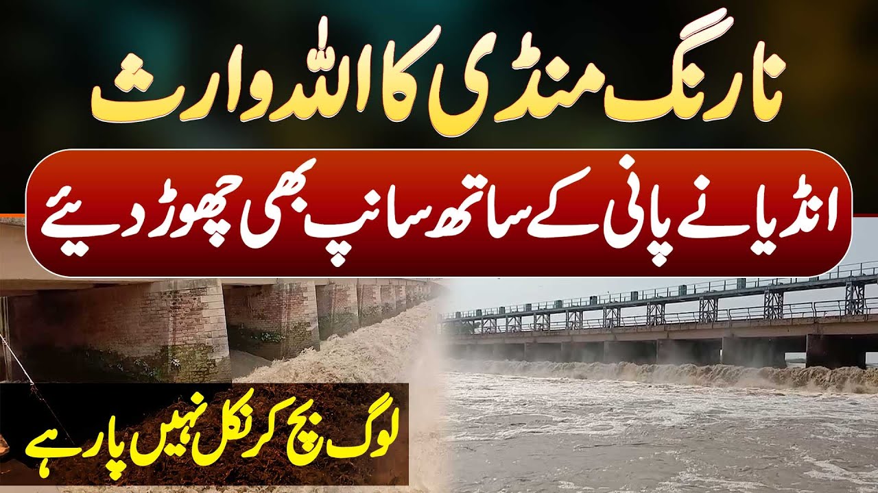 Narang Mandi Ka Allah Waris - India ne Paani Ke Sath Snake Bhi Chor ...