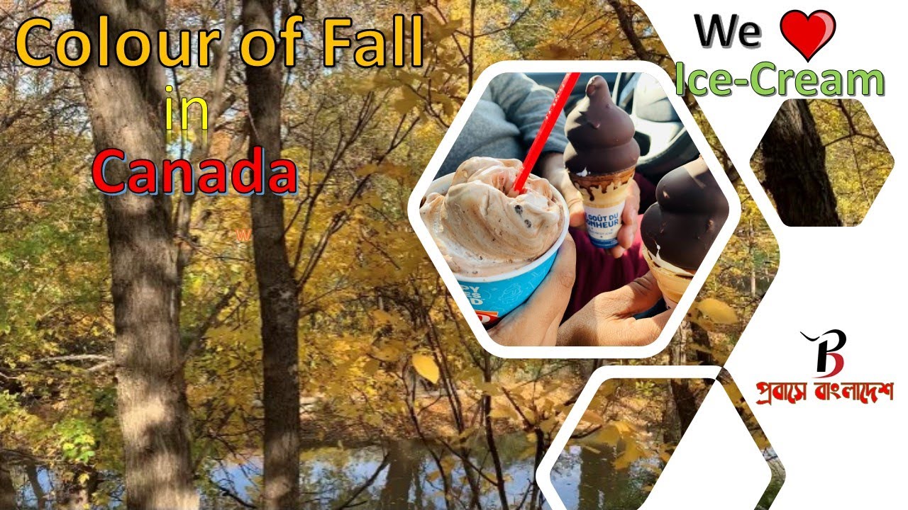 Colour of Fall in Canada/Winnipeg Fall Colors/Manitoba: Beautiful Fall ...