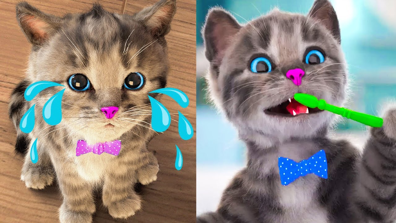 SPECIAL LITTLE KITTEN ADVENTURE - MEOW KITTY CARE AND A SPECIAL LONG ...