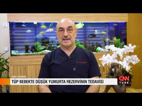 İŞİN UZMANI / TÜP BEBEKTE DÜŞÜK YUMURTA REZERVİNİN TEDAVİSİ - OP. DR. ARET KAMAR