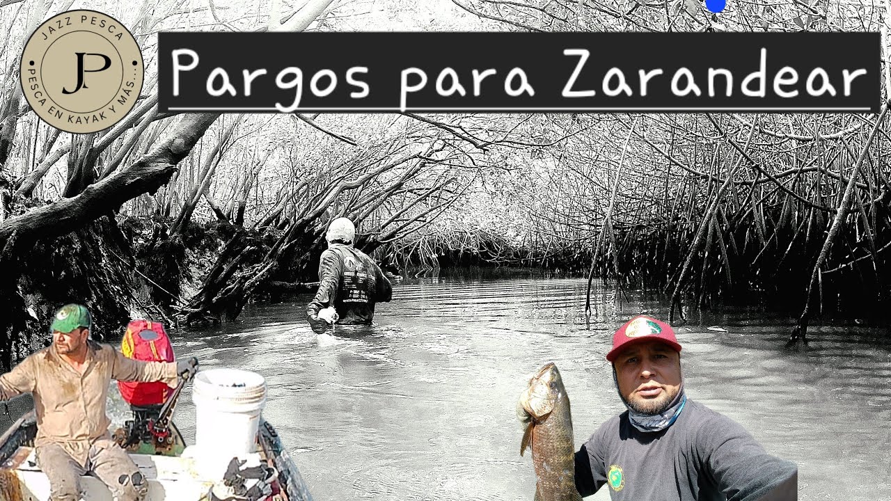 Pargos para Zarandear. #pesca #fishing #fish #chinchorreo # ...