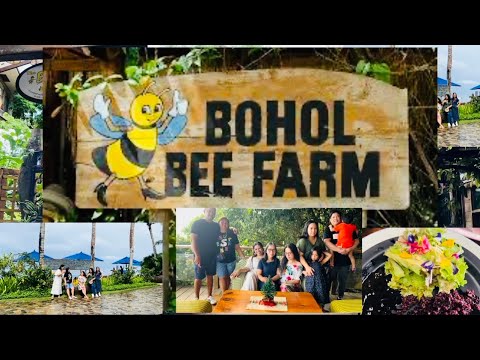 The Beautiful Bohol Bee Farm in Dauis, Panglao Island, Philippines ...