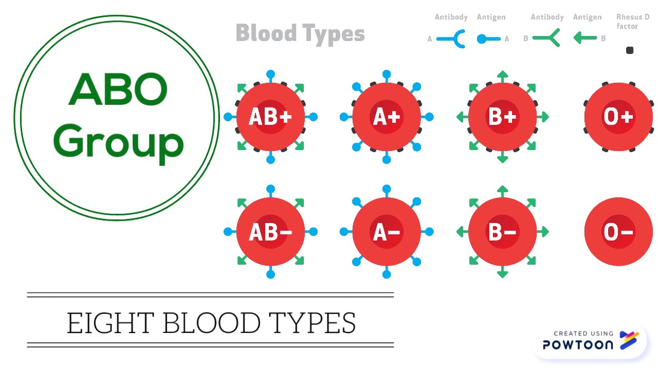 blood types ex. - YouTube