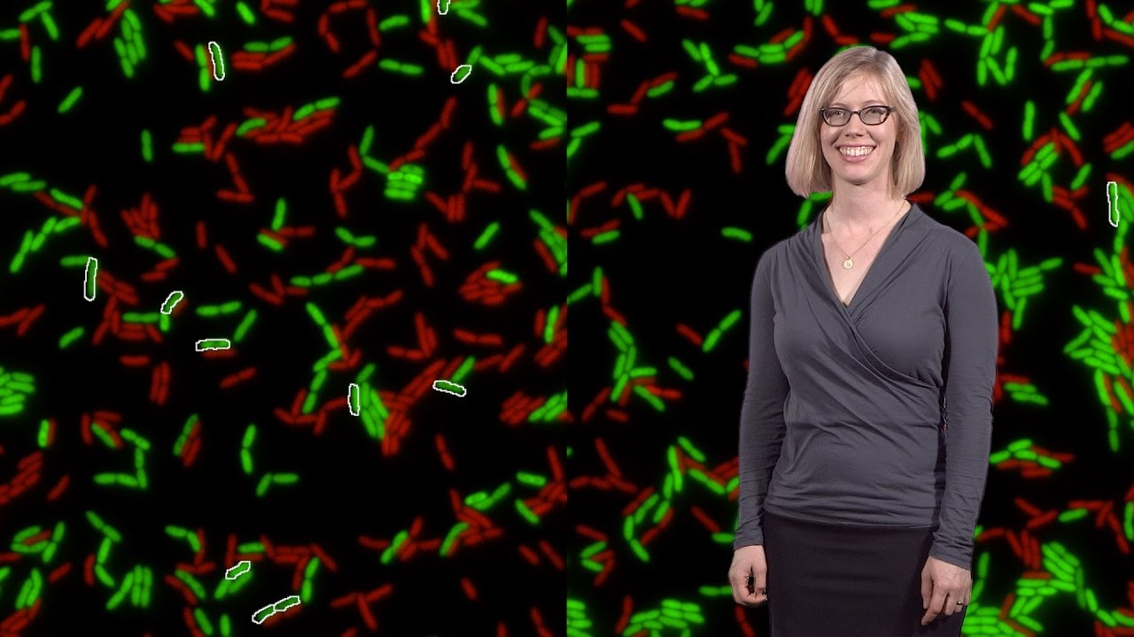 Dr. Michele LeRoux (MIT): Pseudomonas aeruginosa survives with a gut reaction using their T6SS ...