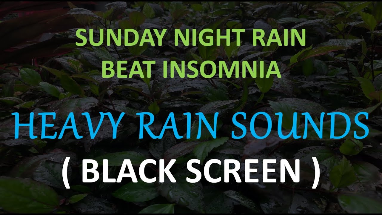 Sunday Night SLEEP Fast With Heavy Rain Sounds (BLACK SCREEN ...