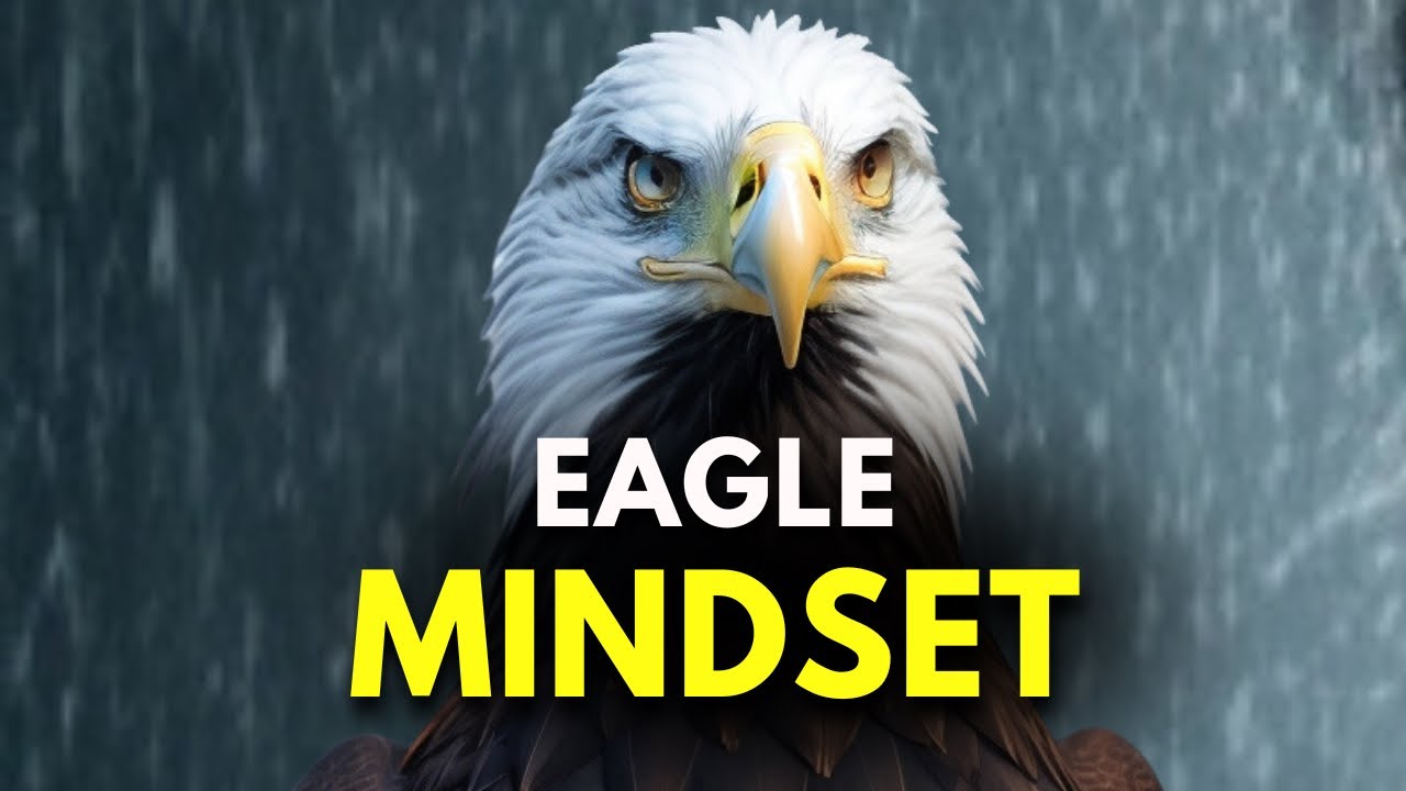 Eagle Inspiring Life Lessons (motivational video) - YouTube