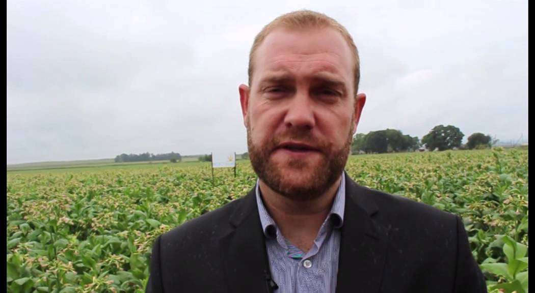 Solaris Tobacco Plant Fuel Ian Cruickshank part 1 - YouTube
