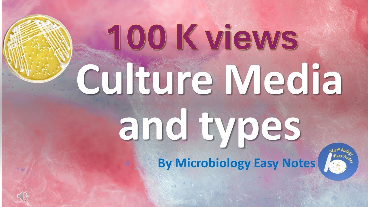 Top Culture Media Update New Haiduongcompany top-culture-media-update-new-haiduongcompany