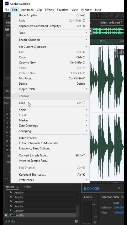 Cara Convert audio Stereo ke Mono - Adobe Audition CC - YouTube