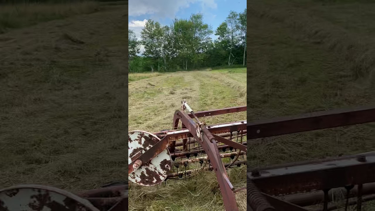 Raking hay with the 1952 Ford 8N (2020) - YouTube