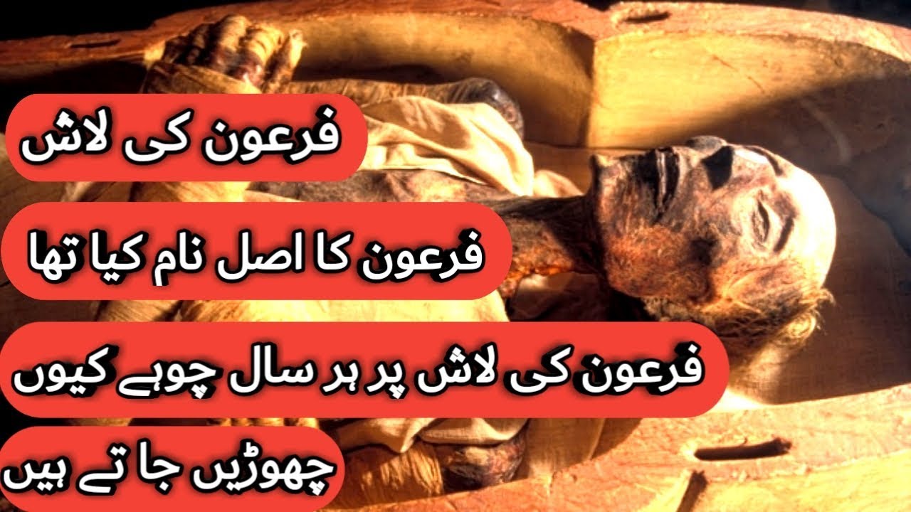 Real name of firon || who is firon || firon || Urdu/Hindi || National ...