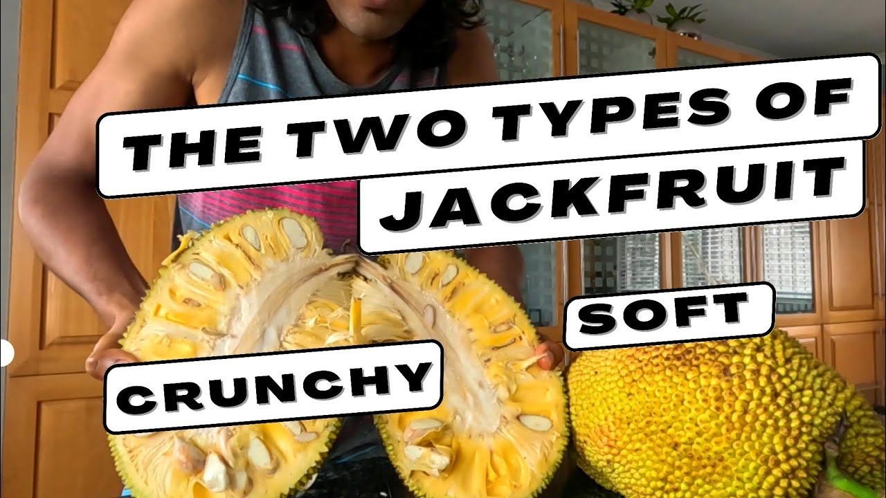 Jackfruit CRUNCHY & SOFT - Raw Vegan Compares the two types! - YouTube
