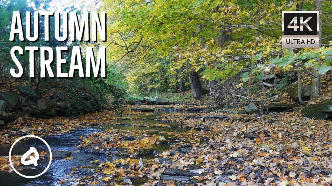 Relaxing Autumn Stream in 4K | Beautiful HD Nature Video | Nature ...