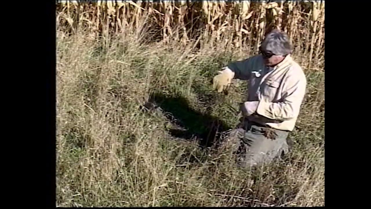 Longlining Raccoons with Conibears with Ron Hauser part 1 - YouTube