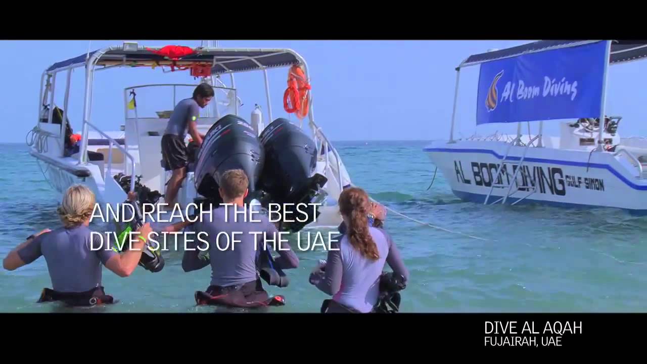 Al Boom Diving - Al Aqah - Fujairah - UAE East Coast - YouTube