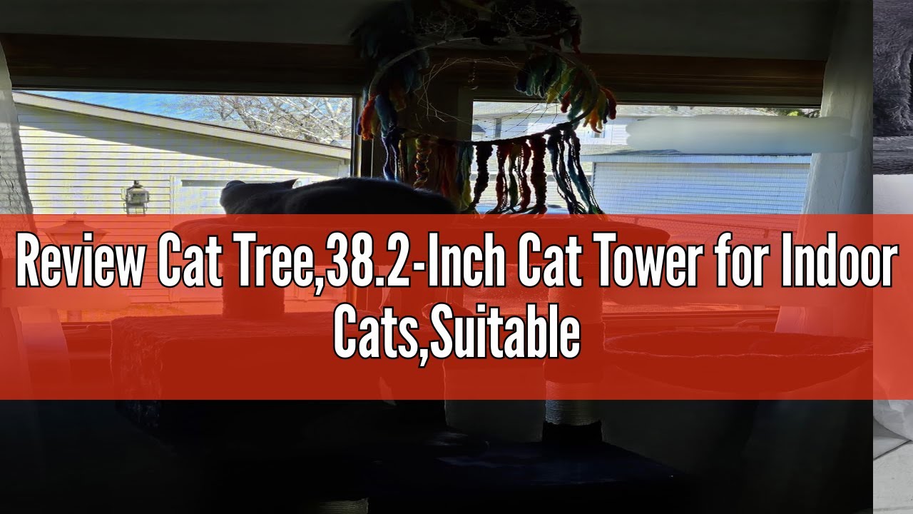 Review Cat Tree,38.2-Inch Cat Tower for Indoor Cats,Suitable for ...