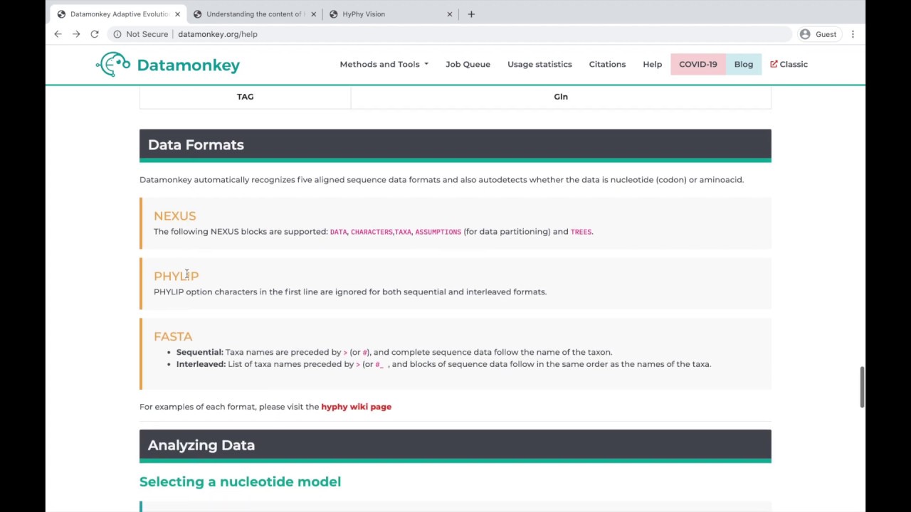 Intro to using DataMonkey.org - YouTube