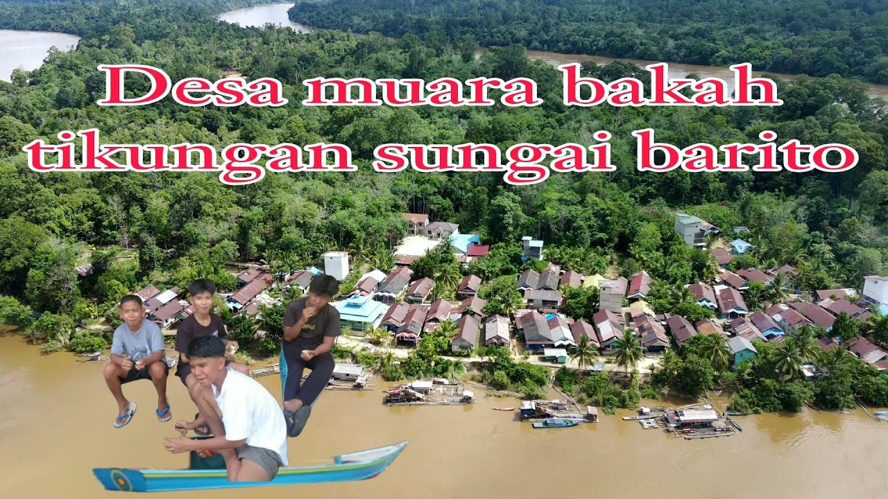 Suasana Kampung dayak islam ditepian sungai kalimantan Desa muara bakah ...