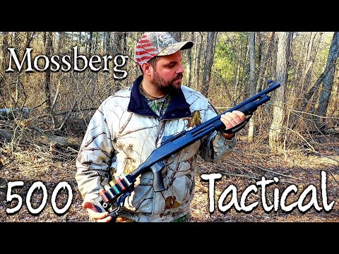 Mossberg 500 Tactical Review & Shoot 12 Gauge - YouTube