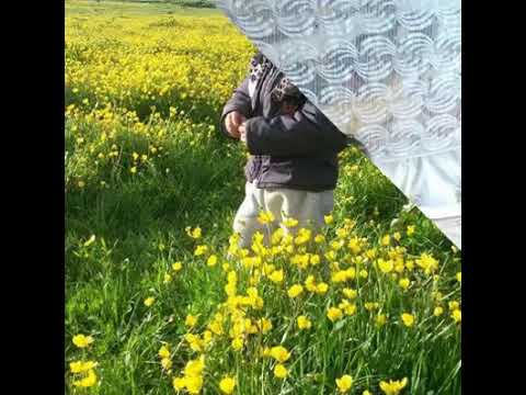 Aşık Melih yalçın bilse idim severmiydim ben seni