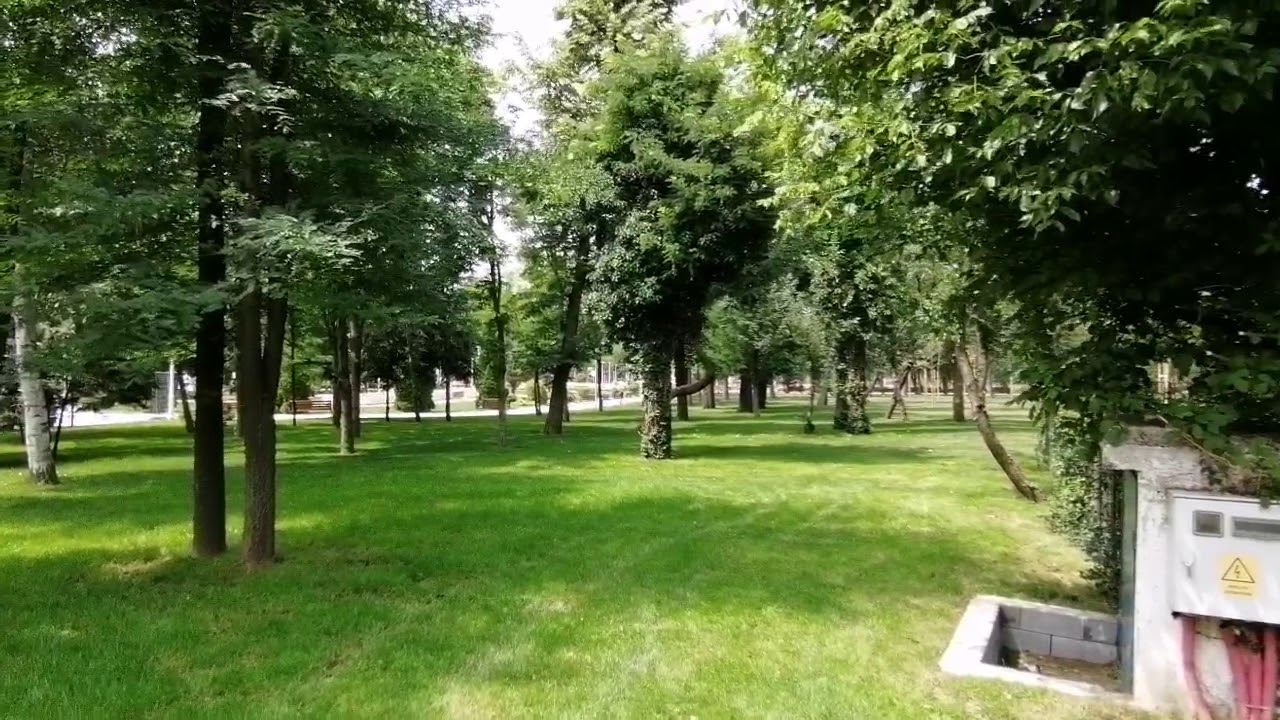 La plimbare în parc -Walk in the park - - YouTube